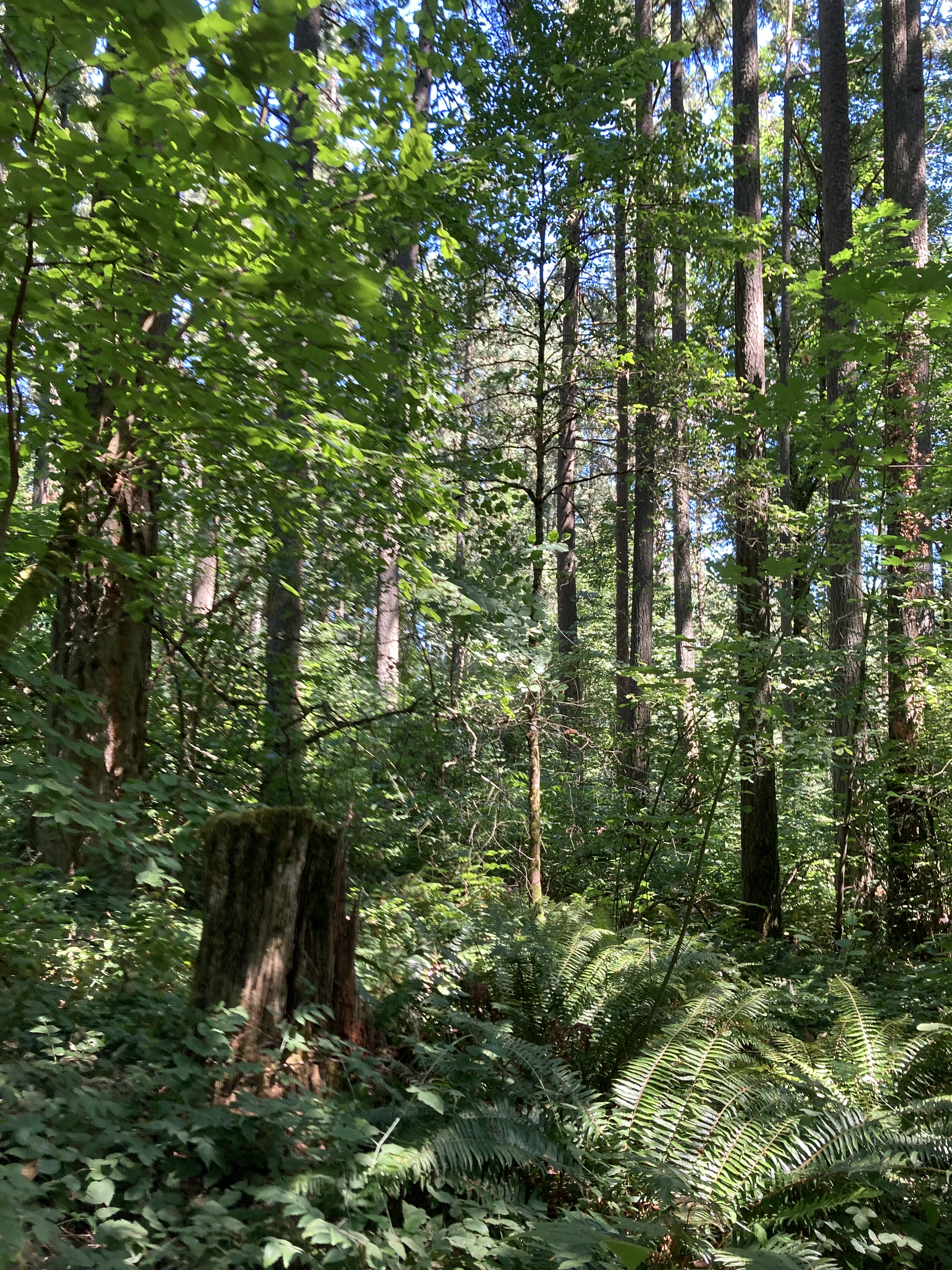 Oregon sites/sights that inspired my fantasy novella’s settings ...