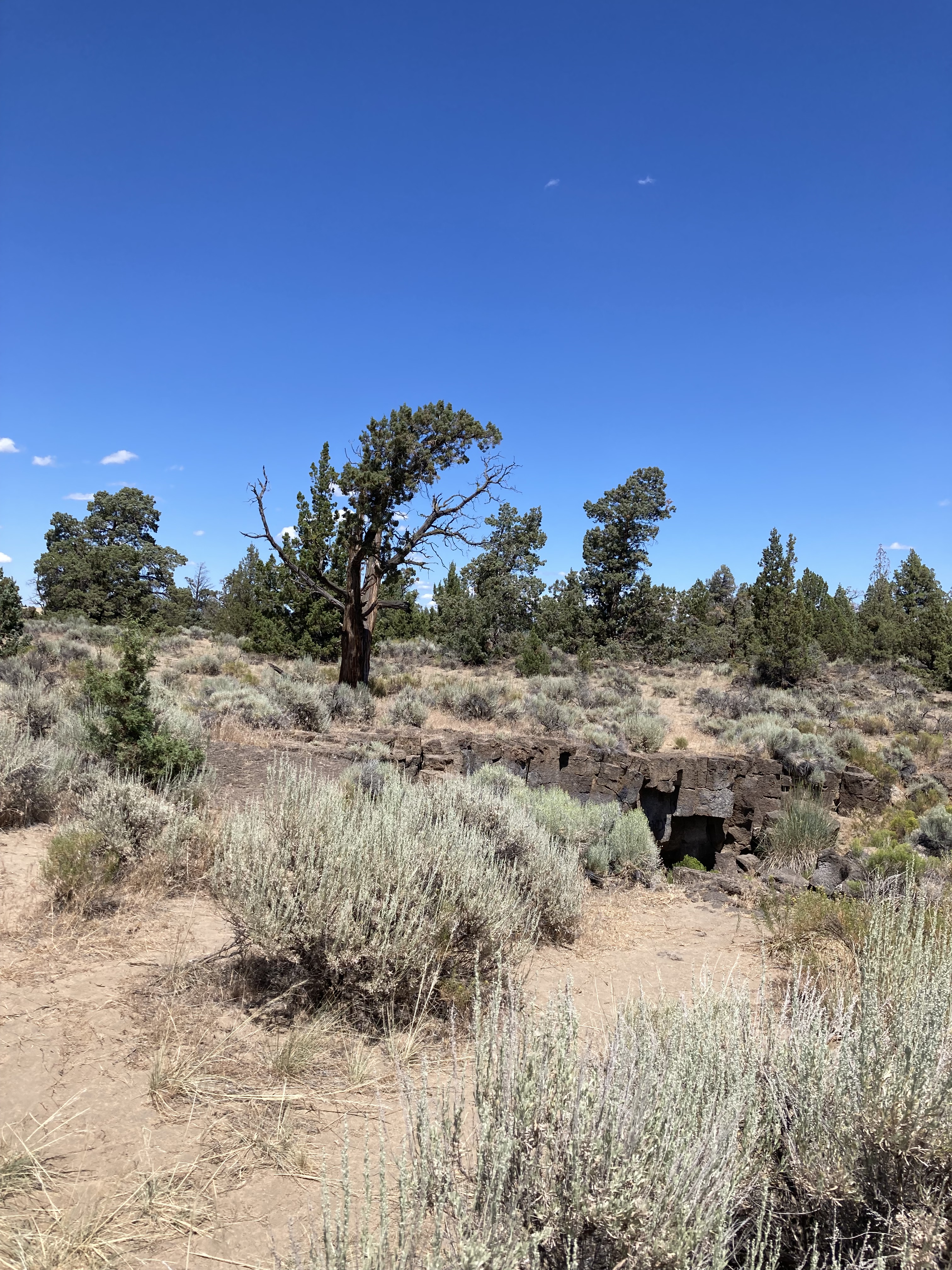 Oregon sites/sights that inspired my fantasy novella’s settings ...
