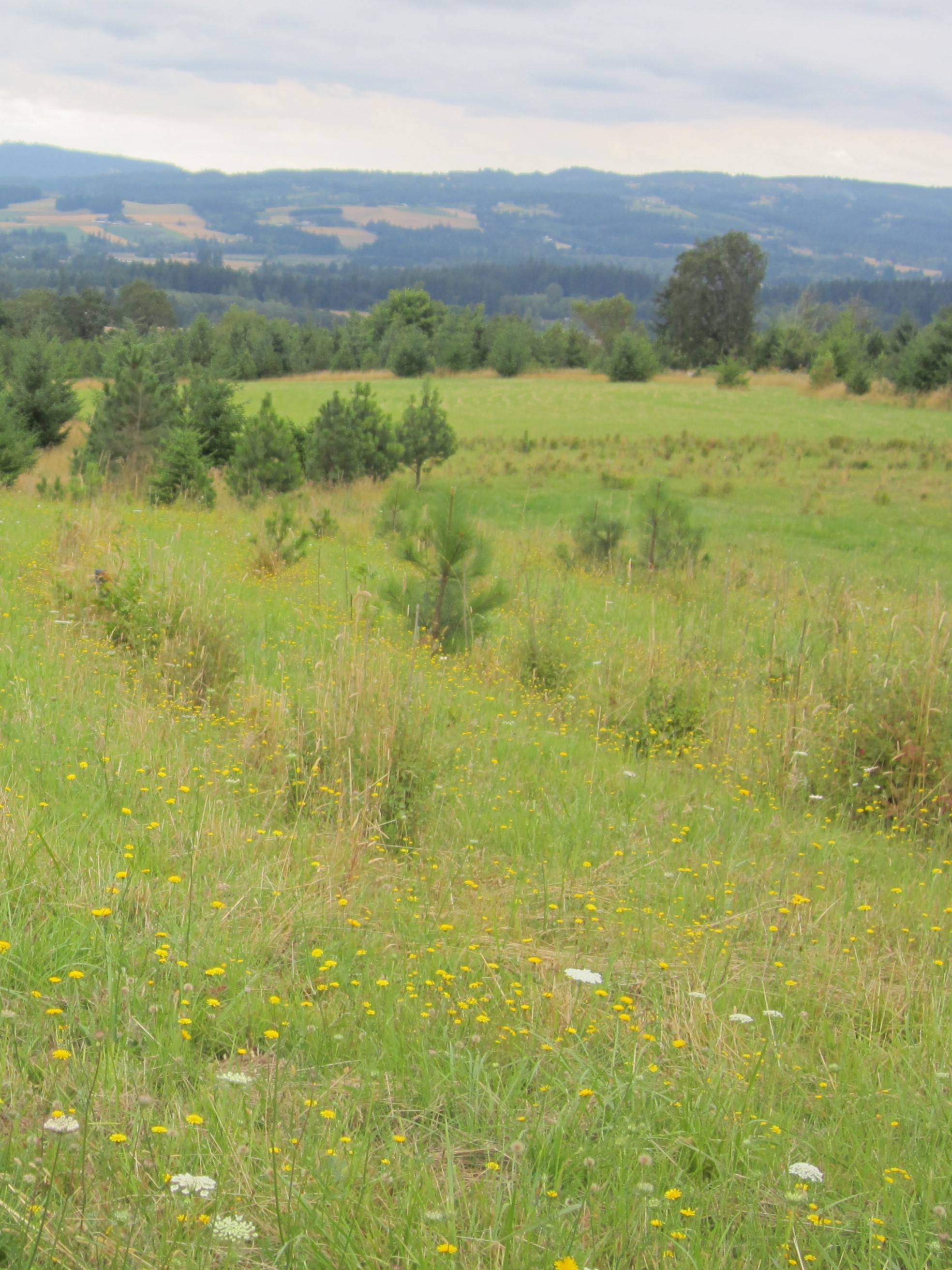 Oregon sites/sights that inspired my fantasy novella’s settings ...
